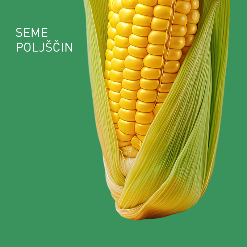 Semenarna | b2b.semenarna