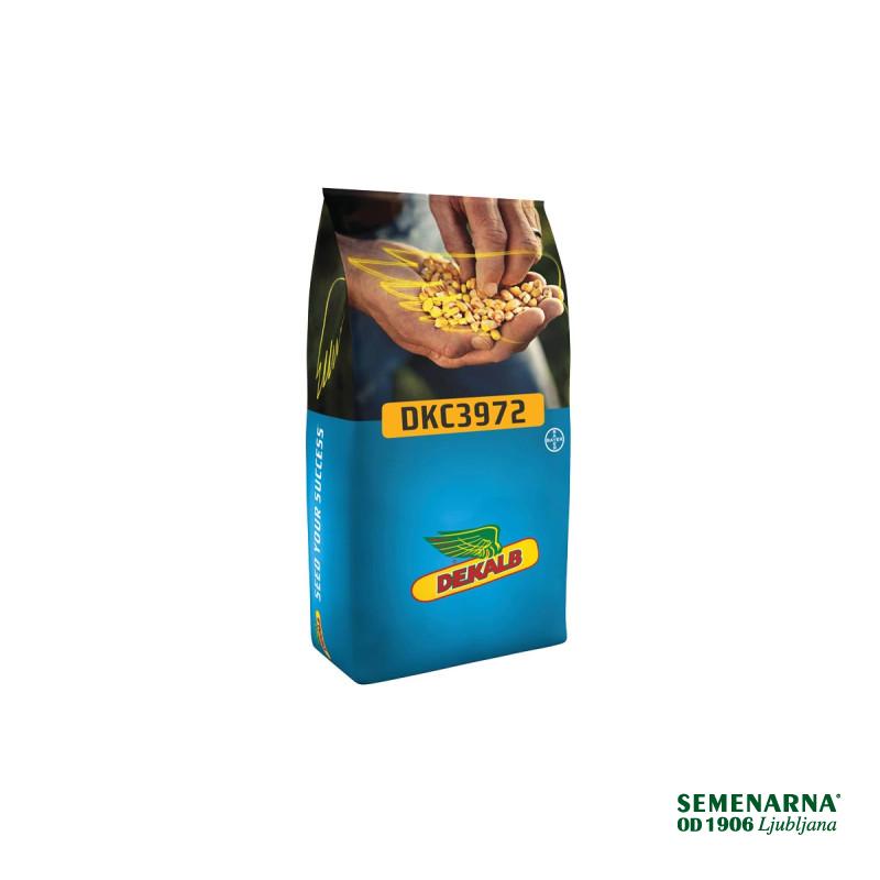 Koruza DKC 3972 80 MK Acceleron Elite | b2b.semenarna